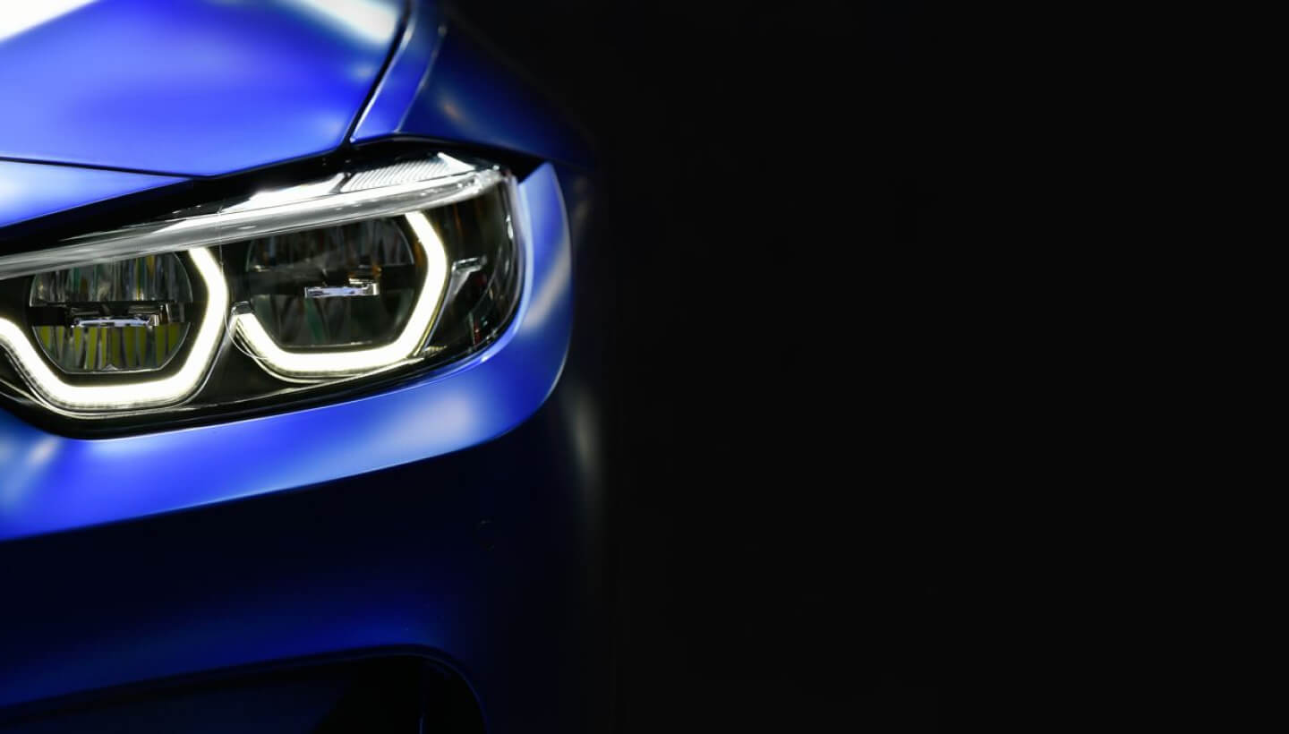 Privacy Policy - Mammoth Shield